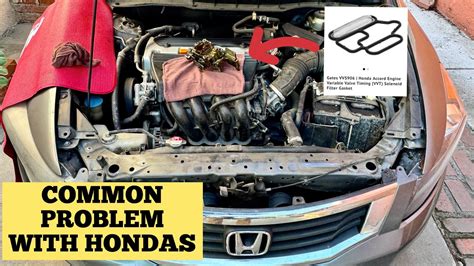 Honda Accord Oil Leak Alternator At Brayden Ologhlin Blog