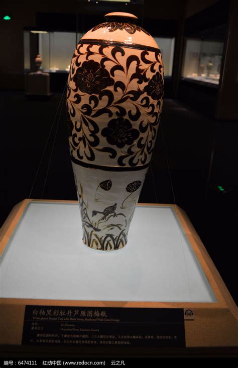 金代白釉黑彩牡丹芦雁图梅瓶高清图片下载 红动中国
