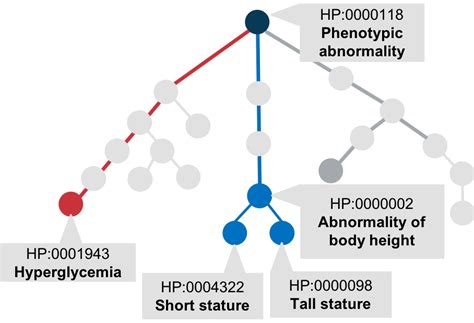 Integrating Laboratory Tests For Deep Phenotyping And Biomarker Discovery Research Communities