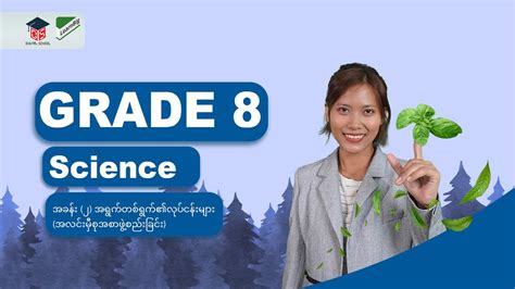 Grade 8 Science အခန်း ၂ အရွက်တစ်ရွက်၏လုပ်ငန်းများ အလင်းမှီစုအစာဖွဲ့စည်းခြင်း Youtube