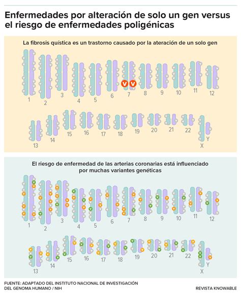 Finalmente Estableciendo El Vínculo Entre Genes Y Enfermedades