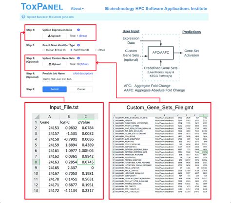 The Figure Illustrates The Two Input File Formats For Step And Step Download Scientific