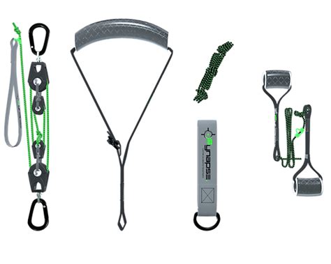 Eccentric Strength Training Synapse Ccr