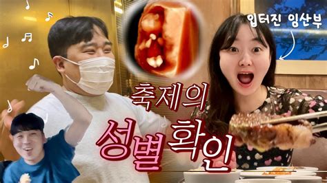 축제의 왕쿵이 성별확인 👶🏻 ️ 먹고 또 먹는 임신 11 15주차 Vlog 🦋 1차 기형아검사임산부 집밥임신축하선물 언박싱 Youtube