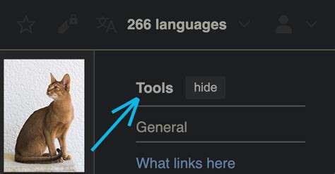 How To Enable Wikipedias Dark Mode Dark Reader Tips And Tricks