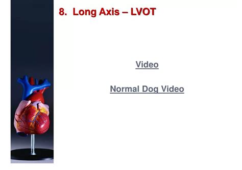 Basic Echocardiography Pdf