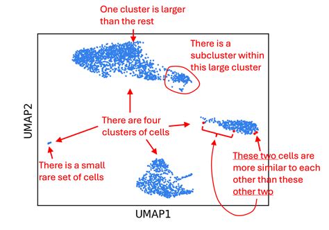 Assessing The Utility Of Data Visualizations Based On Dimensionality Reduction Matthew N