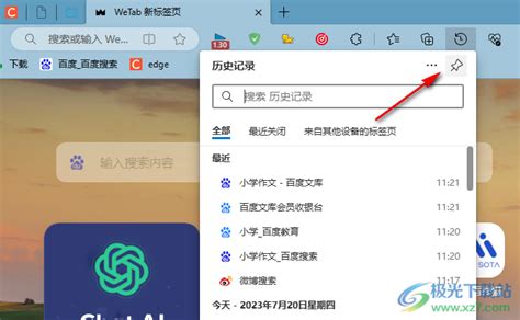 Edge浏览器怎么固定历史记录？ Edge浏览器固定历史记录的方法 极光下载站