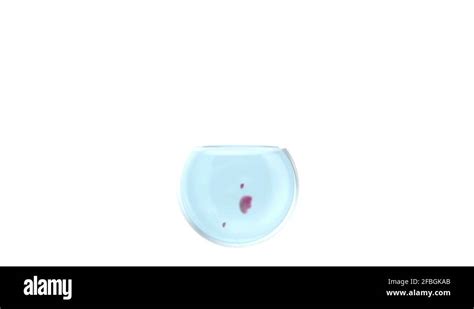 Human Brain Container Stock Videos And Footage Hd And 4k Video Clips Alamy