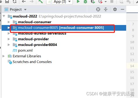 Springboot 中微服务多模块中一个模块有两个名字spring 模块名字后有另一个名字 Csdn博客