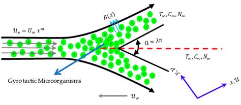 Mathematics Free Full Text Evolutionary Padé Approximation For Heat And Mass Transfer