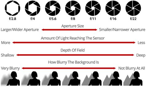 Aperture Discover How To Take Control Of Depth Of Field For More Professional Results