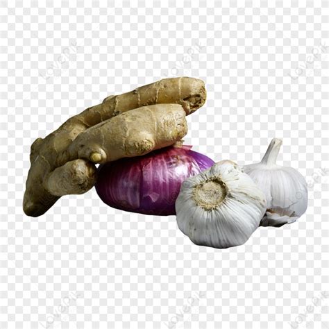 신선한 익은 흰 마늘 양파 생강성숙야채 Png 일러스트 무료 다운로드 Lovepik