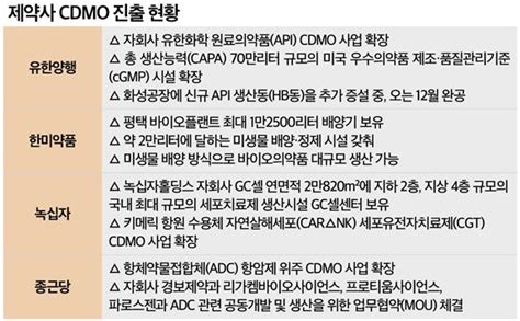 Cdmo 전성시대제약사도 바이오의약품 시장 진출 타진