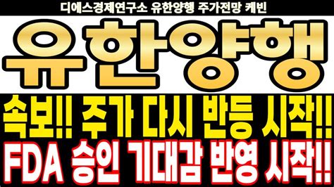 유한양행 주가전망 속보 주가 다시 반등 시작 Fda 승인 기대감 반영 시작 Feat디에스경제연구소 케빈 Youtube