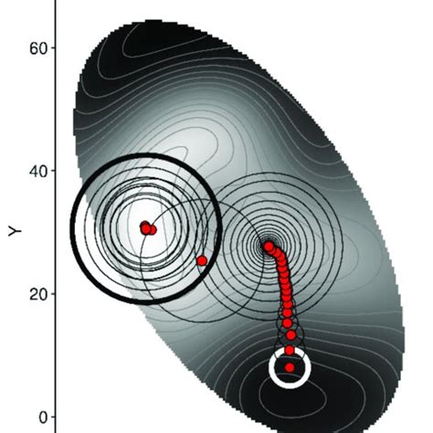 Two Dimensional Representation Of The Algorithm Scanning Xy Coordinates