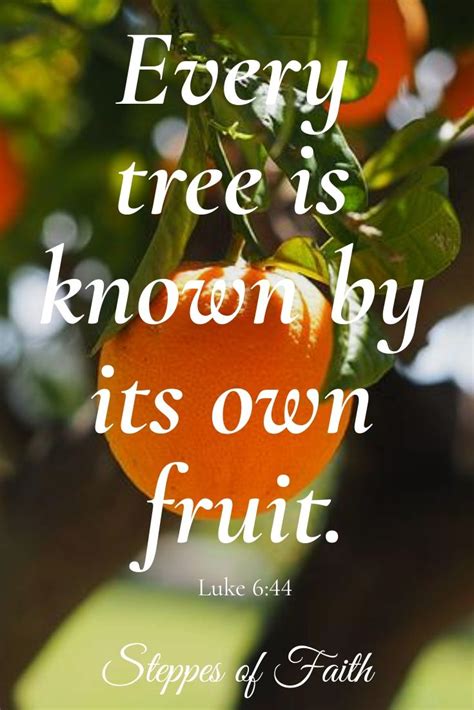 For A Good Tree Does Not Bear Bad Fruit Nor Does A Bad Tree Bear Good Fruit For Every Tree Is
