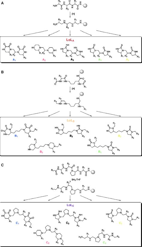 Fifteen Combinatorial Libraries Organized Into Three Libraries From