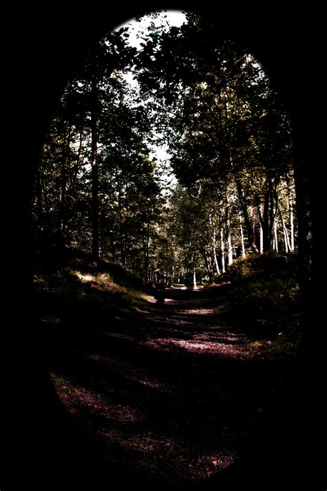 Tried Something How Many Shadow Figures Can You Find O  On Imgur