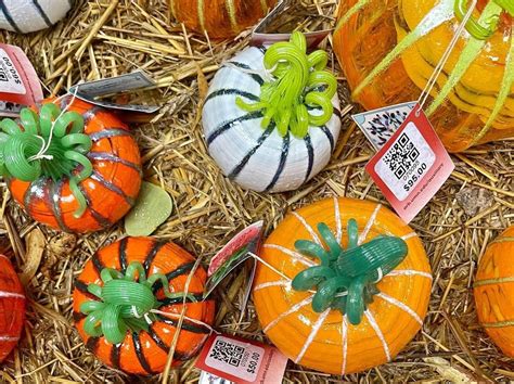 Arb Glass Pumpkin Patch Chaska Minnesota Minnevangelist