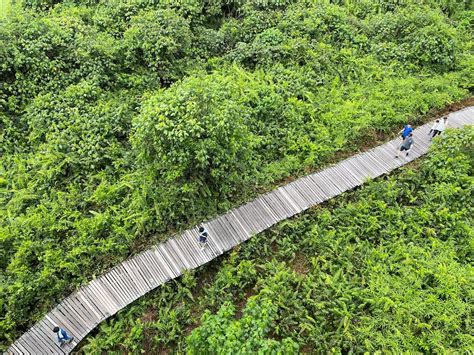 Uncover Sibus Hidden Gems 24 Hours From Sibu Airport