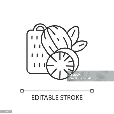 육두구 선형 아이콘 너트 멕 향신료 상록 나무 씨앗 디저트 향료 조미료를 요리 얇은 선 사용자 정의 일러스트레이션 윤곽 기호입니다 벡터 격리 된 윤곽선 도면입니다 편집