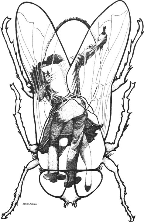 The Sffaudio Podcast 682 Readalong The Screwfly Solution By James