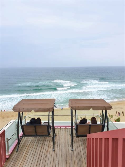 강원도 양양 동호해변 카페 커피볶는집 시다모 네이버 블로그