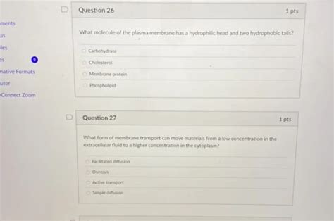 Question 26 1 Pts What Molecule Of The Plasma Membrane Has A Hydrophilic