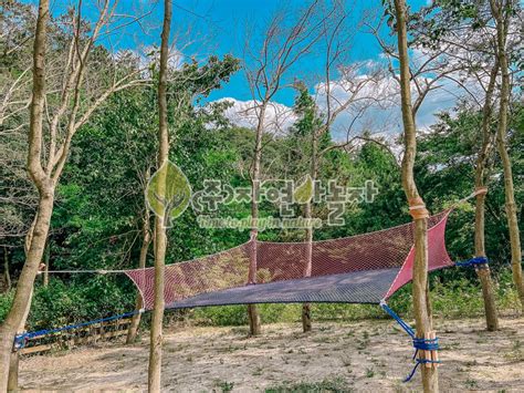 3392d3dd4b70a50a1efb32da85d15d4a 1689223365 1594 