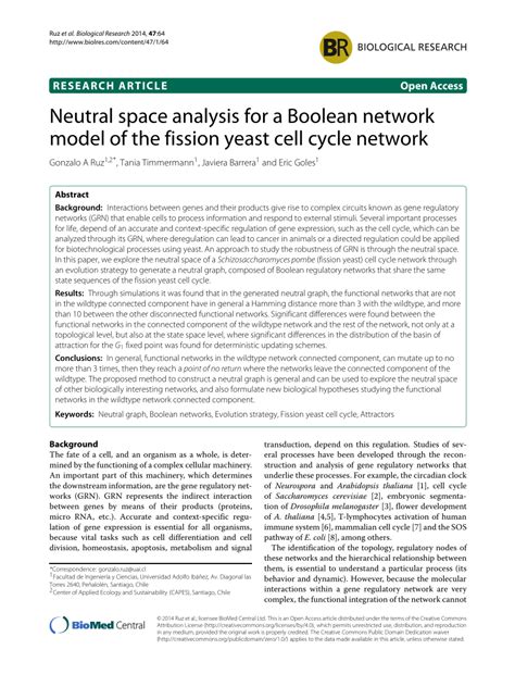Pdf Neutral Space Analysis For A Boolean Network Model Of The Fission