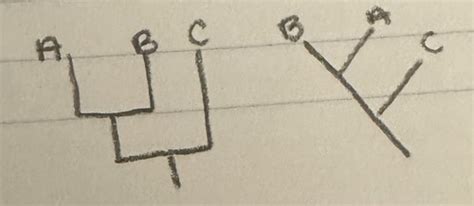 Exam 1 Flashcards Quizlet Exam 1 Flashcards Quizlet