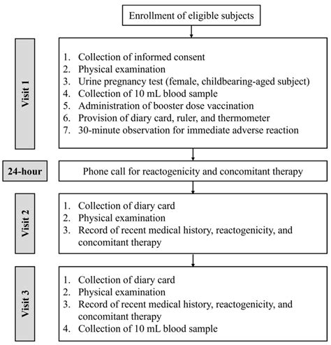 Flowchart Of The Study Protocol Download Scientific Diagram