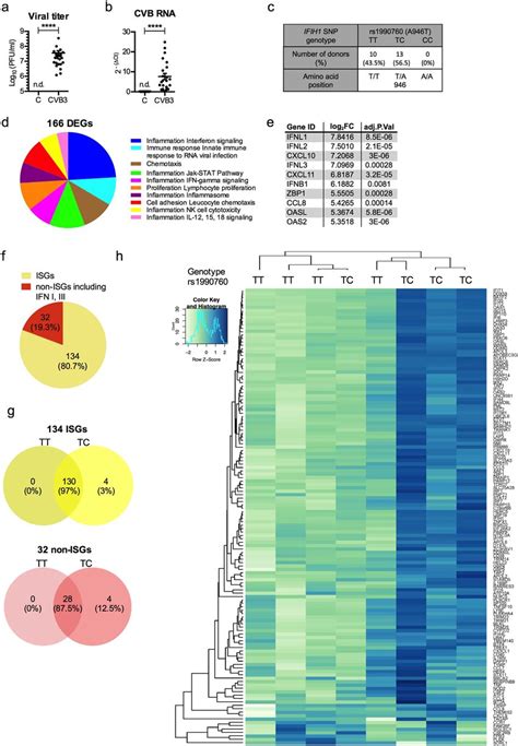 Rnaseq Analysis Identifies Differences In Gene Expression Between Cvb3