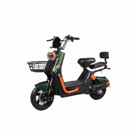 Mg006 Adult Electric Bicycle Electric Bicycle Manufacturer In China