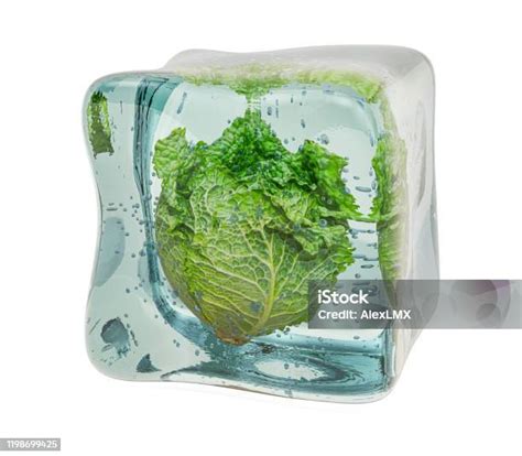얼음 큐브에 얼어 붙은 사보이 양배추 흰색 배경에 고립 된 3d 렌더링 3차원 형태에 대한 스톡 사진 및 기타 이미지 3차원