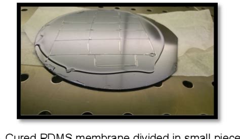 Figure 9 From Bead Based Microfluidic System For Dna Rna Detection Semantic Scholar