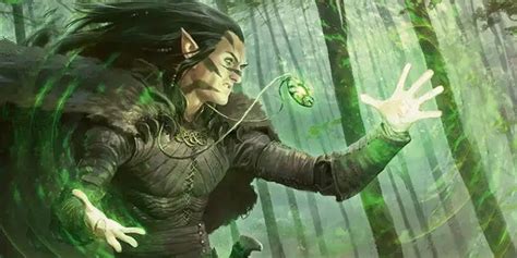 Dungeons And Dragons Which Circle Is Best For Your Druid