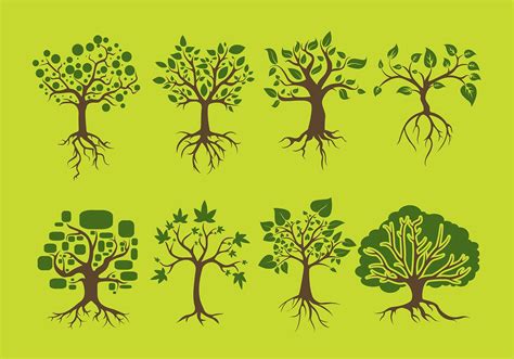 Tree With Roots Vector Vector Art At Vecteezy
