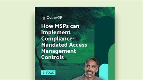 How Msps Can Implement Compliance Mandated Access Management Controls Cyberqp