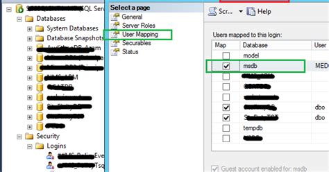 Nothing Is Bug Free Grant Access Sql Server Agent Using Tsql Ssms Sql Server
