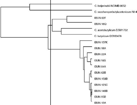 Hierarchical Cluster Analysis Tree Based On Multiple Correspondence
