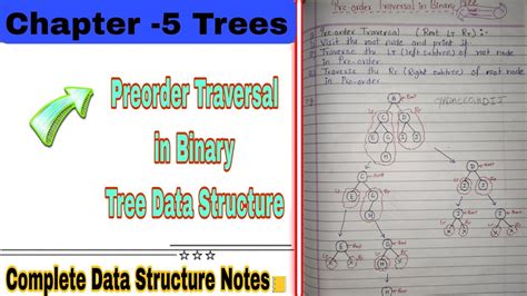 56 Preorder Traversal In Binary Tree Tree Data Structure