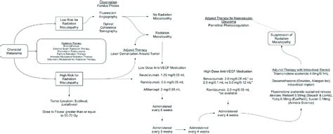 choroidal melanoma patient care flow chart this diagram shows our