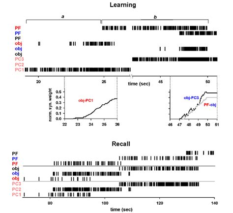 Firing Patterns And Synaptic Weights Evolution During Learning And