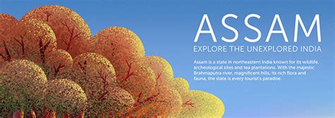 Assam Behance