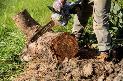 How To Kill A Tree Stump