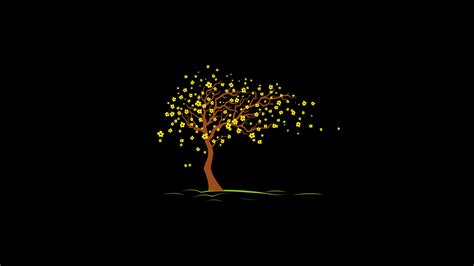Tree Grow Animation Stock Video Footage For Free Download