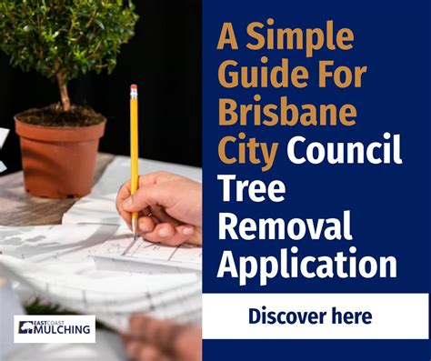A Simple Guide For Tree Removal Application In Brisbane City