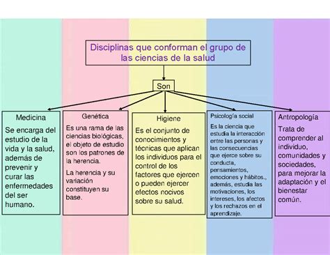 Cuadro Sinoptico De Salud Publica De Tema De Salud Publica Y Comunidad